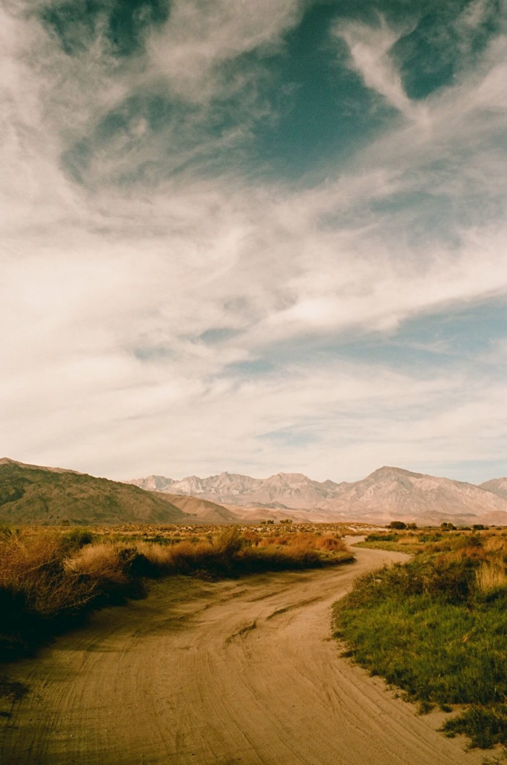 SantaColor 100 on a Leica M6 • Mike Panic